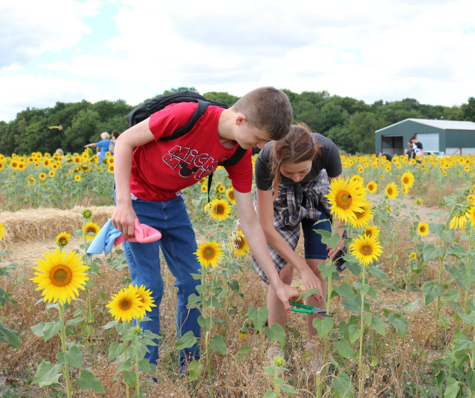 Loddon Training | Loddon | PROACT-SCIPr-UK®